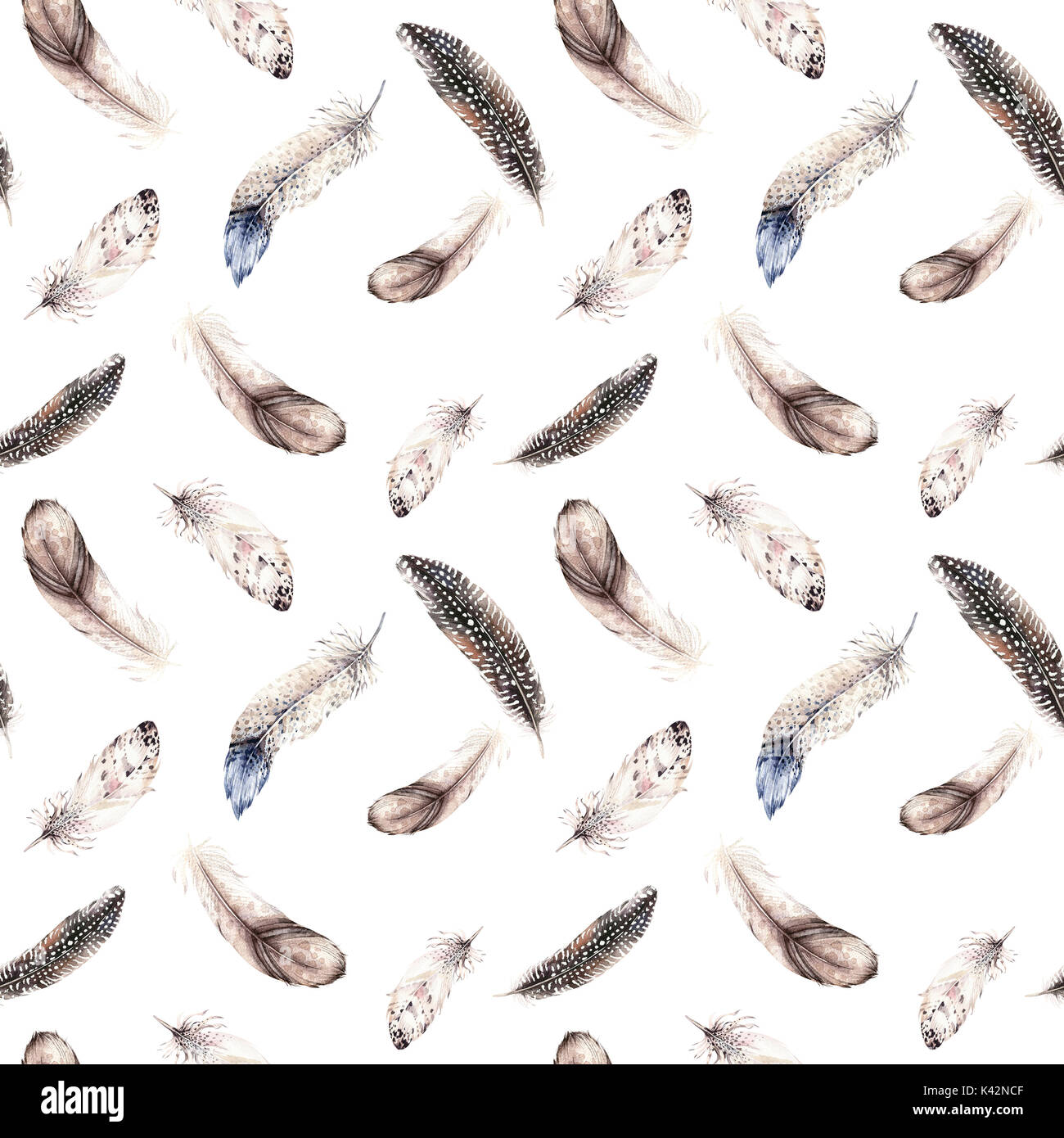 Watercolor natural birds feather boho pattern. Bohemian Seamless ...