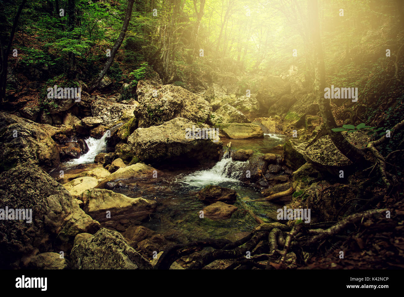 The Grand Canyon of Crimea. Amazing forest landscape Stock Photo - Alamy