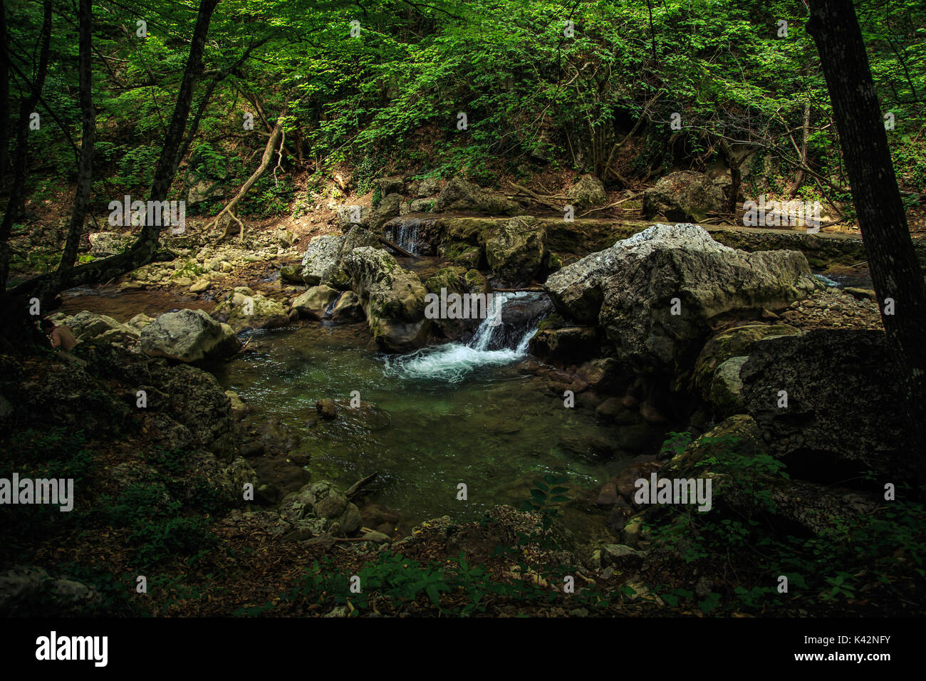 The Grand Canyon of Crimea. Amazing forest landscape Stock Photo - Alamy