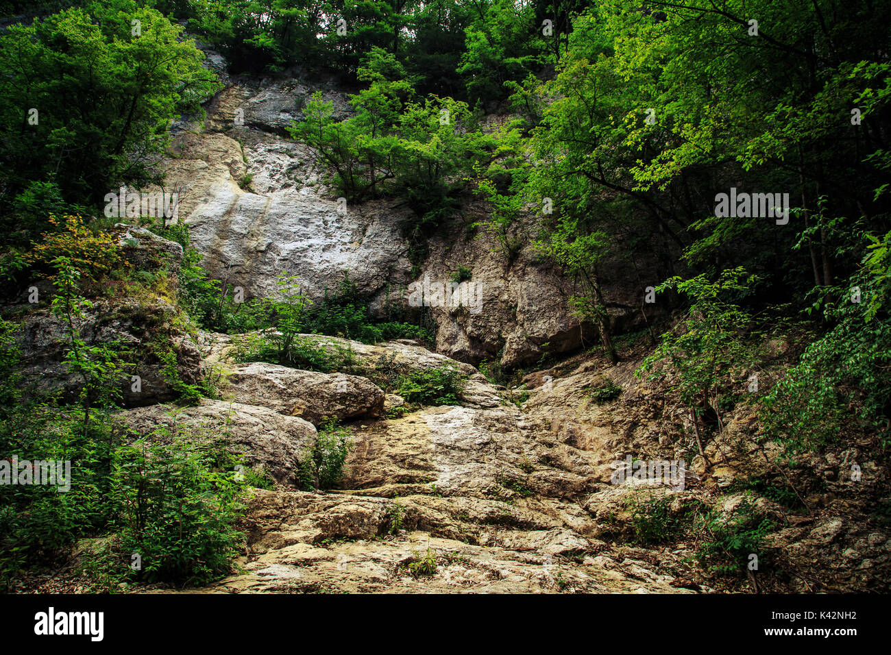 The Grand Canyon of Crimea. Amazing forest landscape Stock Photo - Alamy