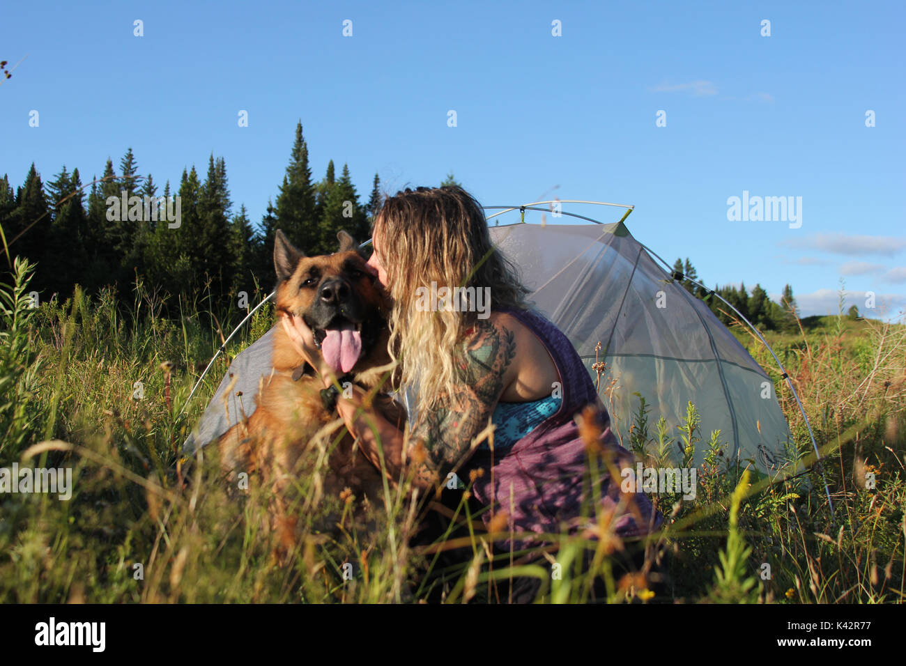 MEET the adorable, adventurous dog who could be the ultimate travel ...