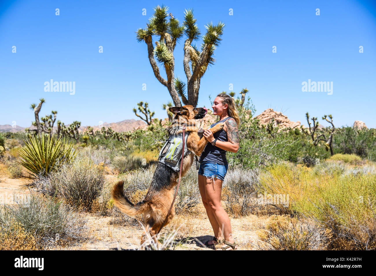 MEET the adorable, adventurous dog who could be the ultimate travel ...