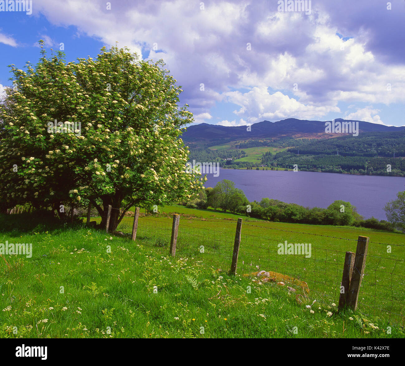 Loch tummel spring hi-res stock photography and images - Alamy