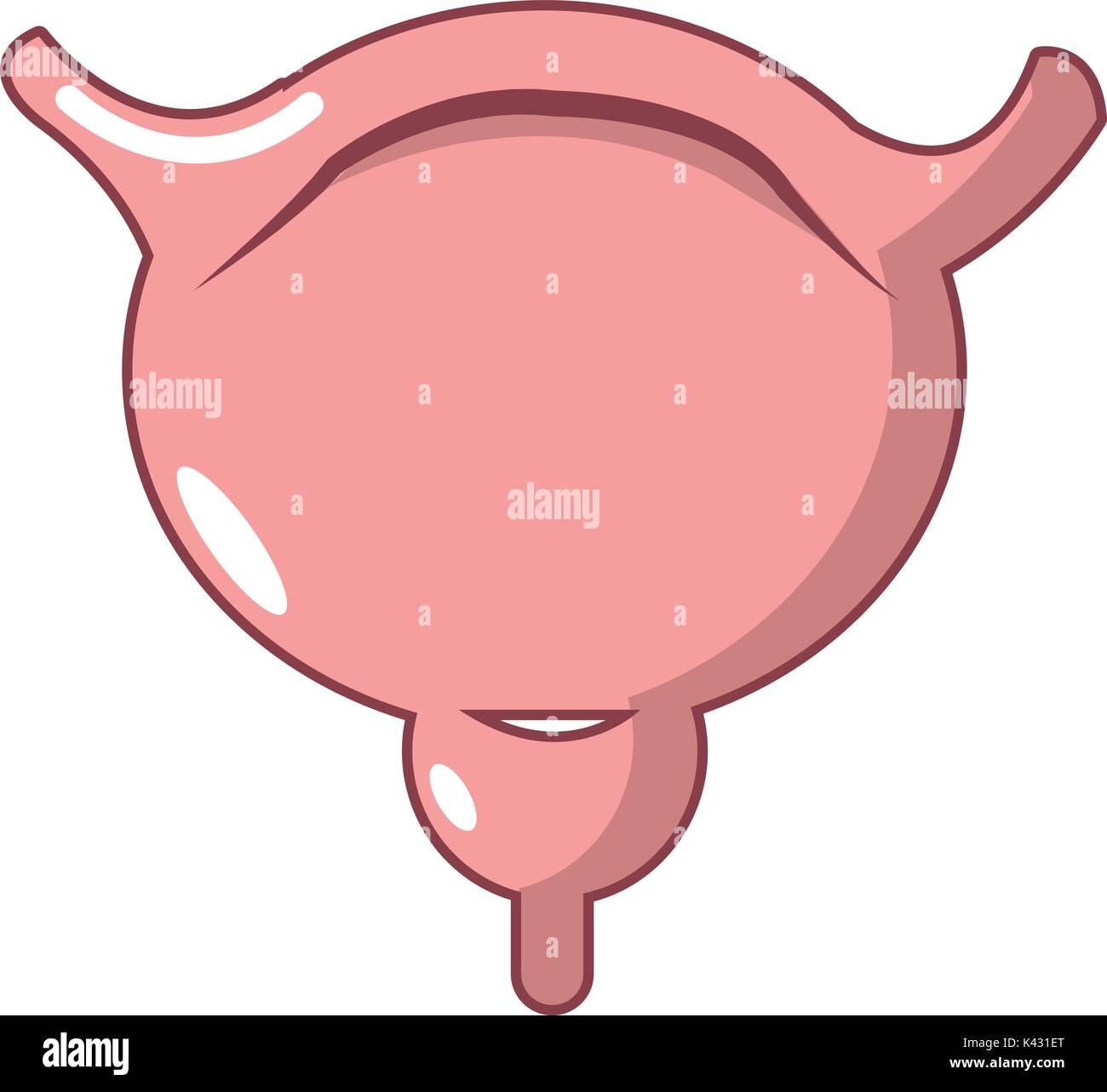 Human bladder icon, cartoon style Stock Vector Image & Art - Alamy
