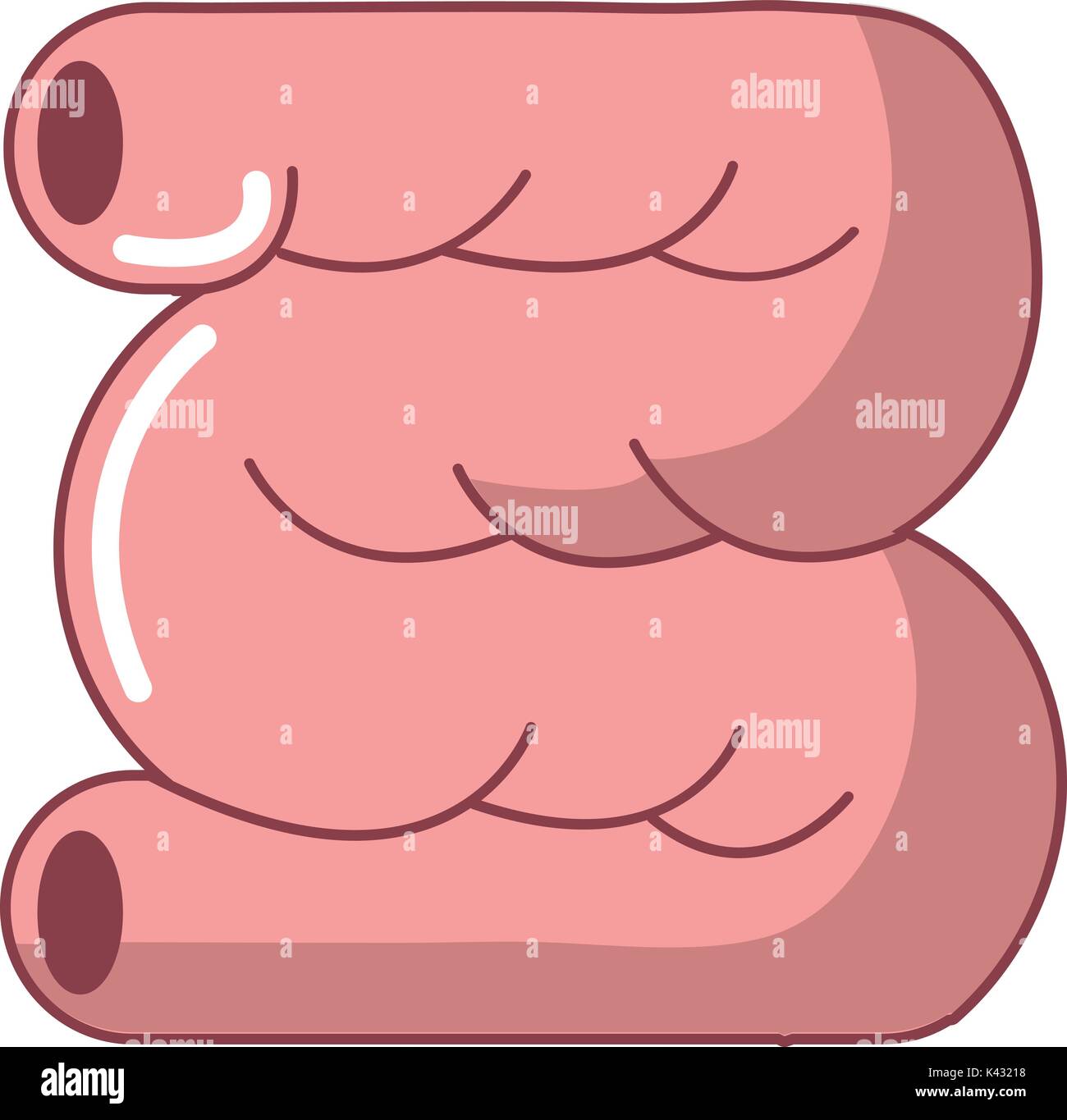 Large Intestine Cartoon