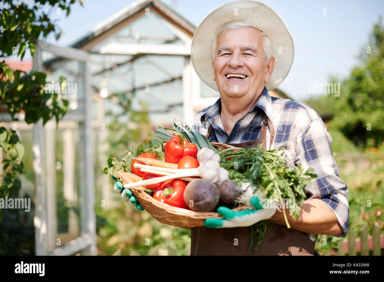 Know your vegetables hi-res stock photography and images - Alamy