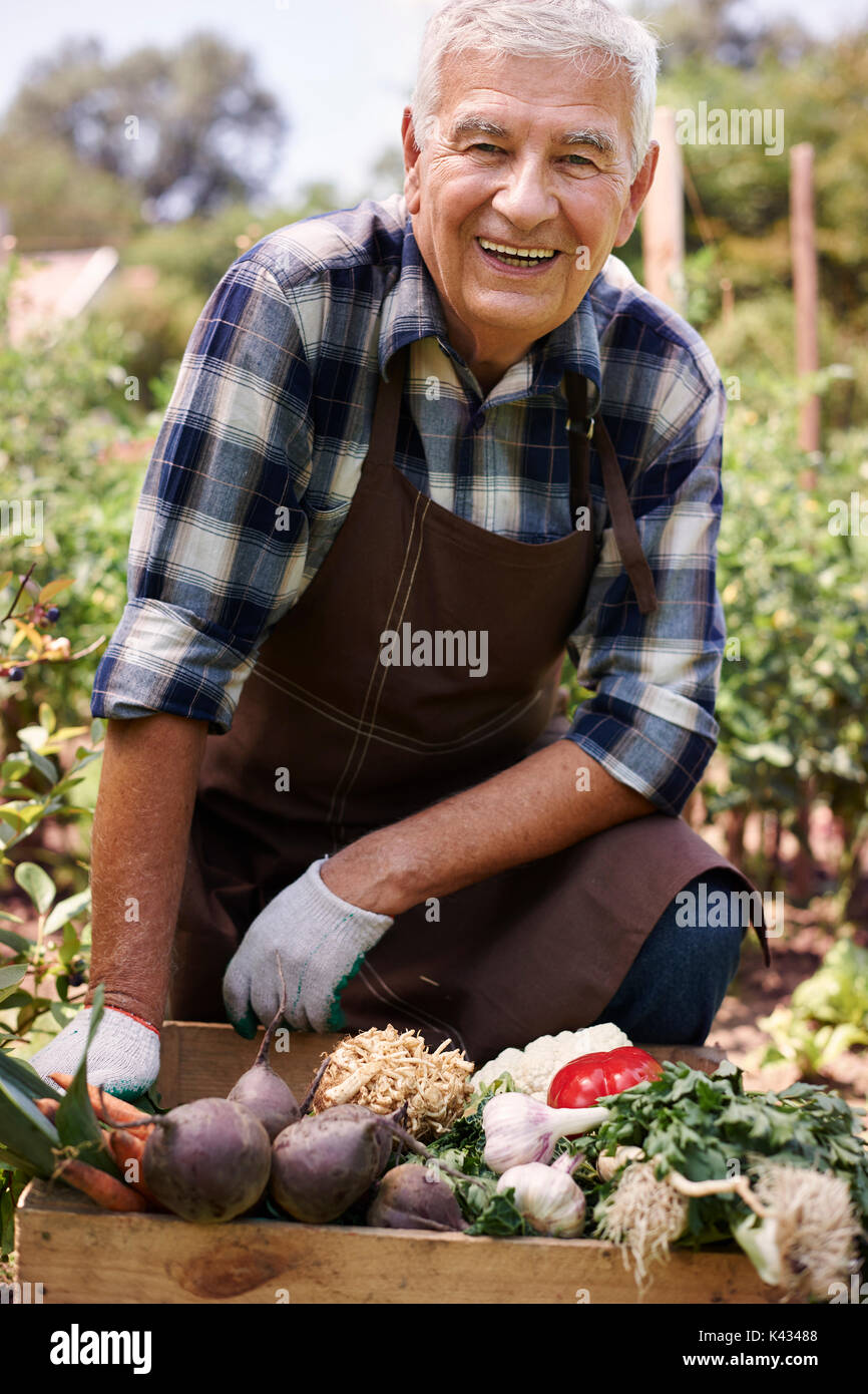 Portrait of senior farmer with organic vegetables Stock Photo - Alamy