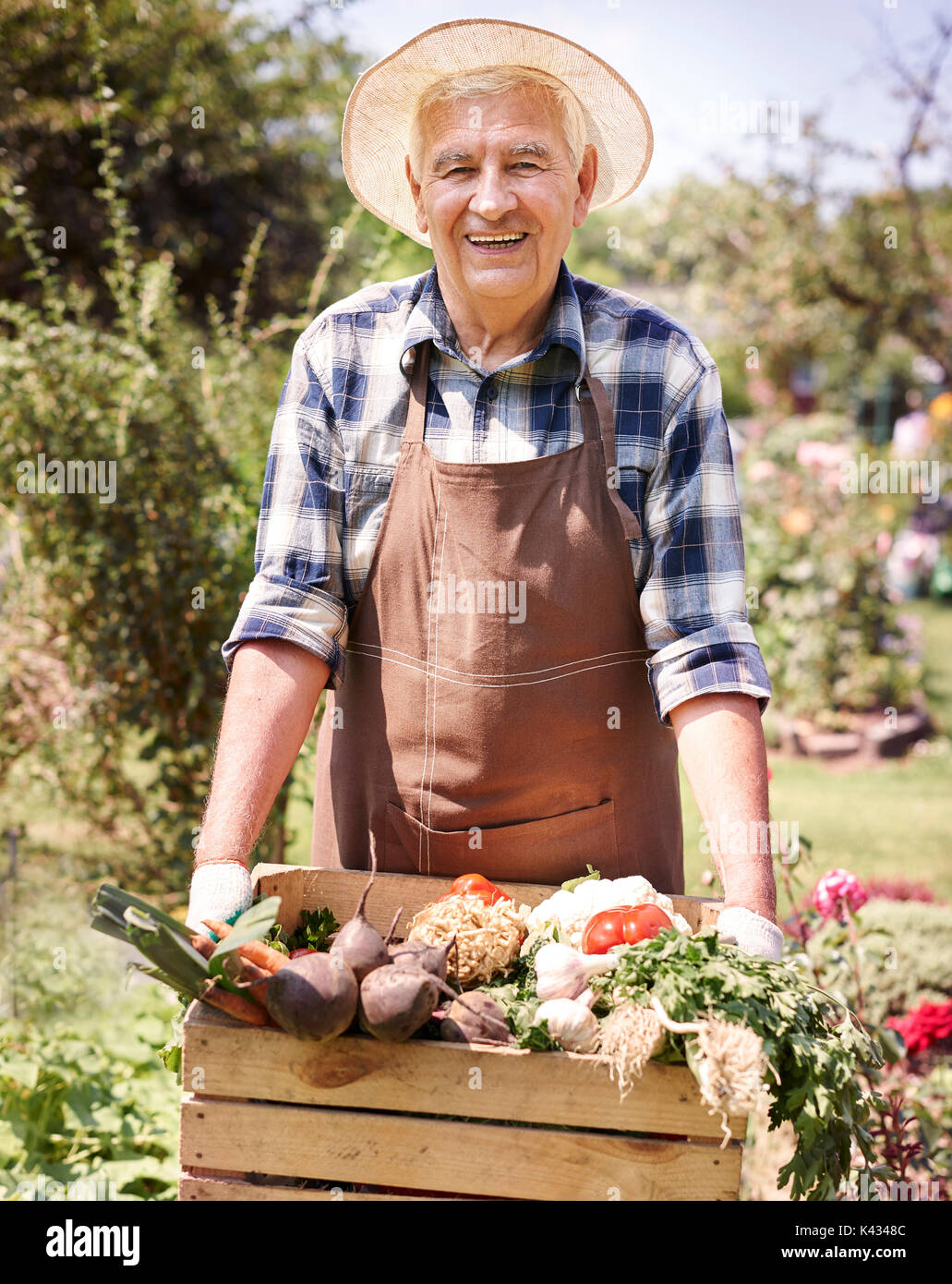 Gardening season hi-res stock photography and images - Alamy