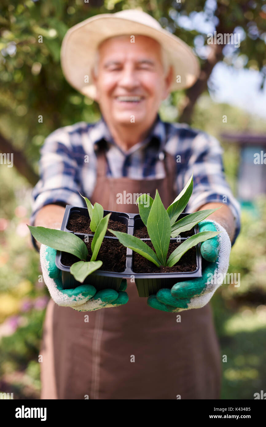 Life in hands hi-res stock photography and images - Alamy