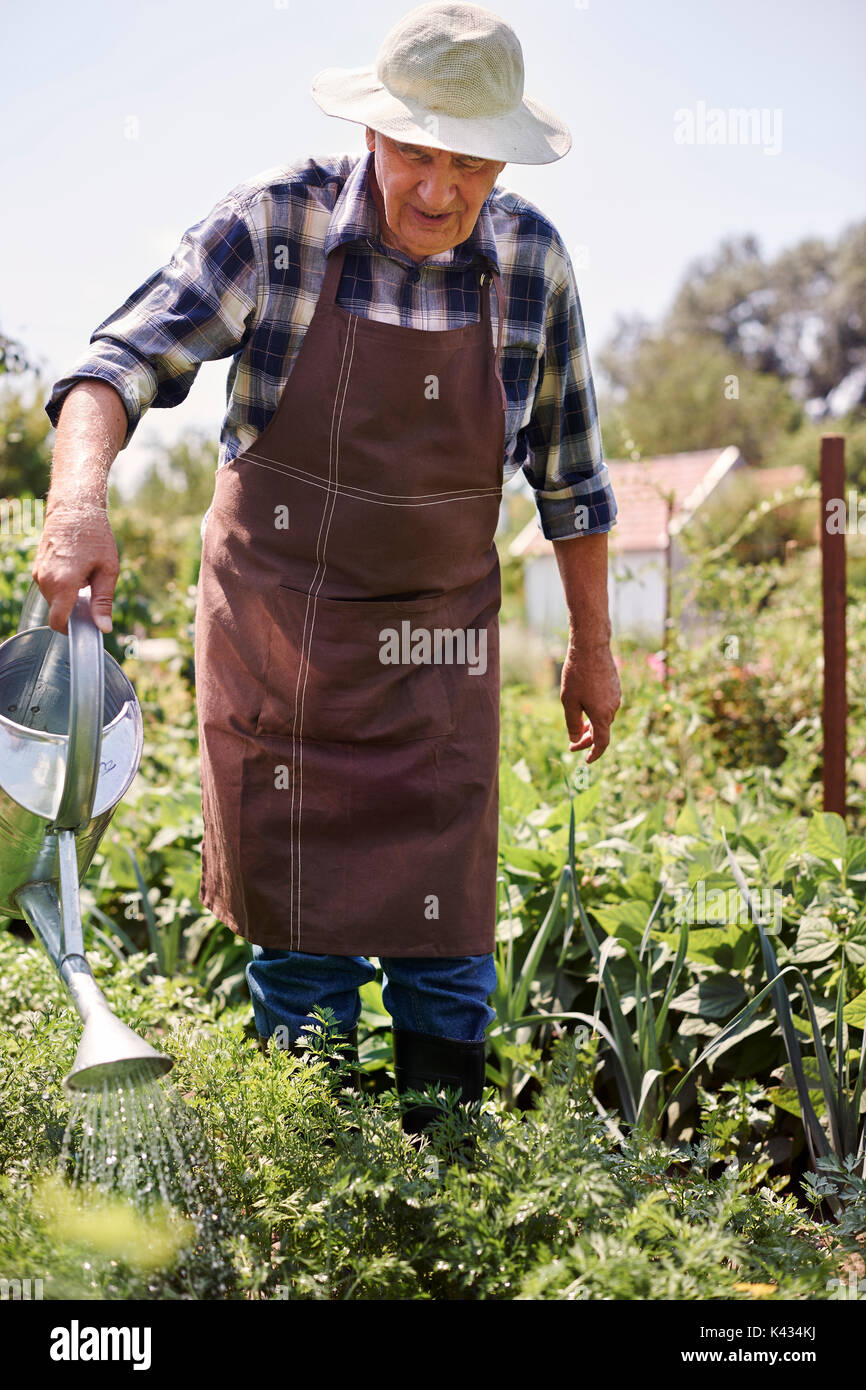 Vegetables need a lot of fresh water Stock Photo - Alamy