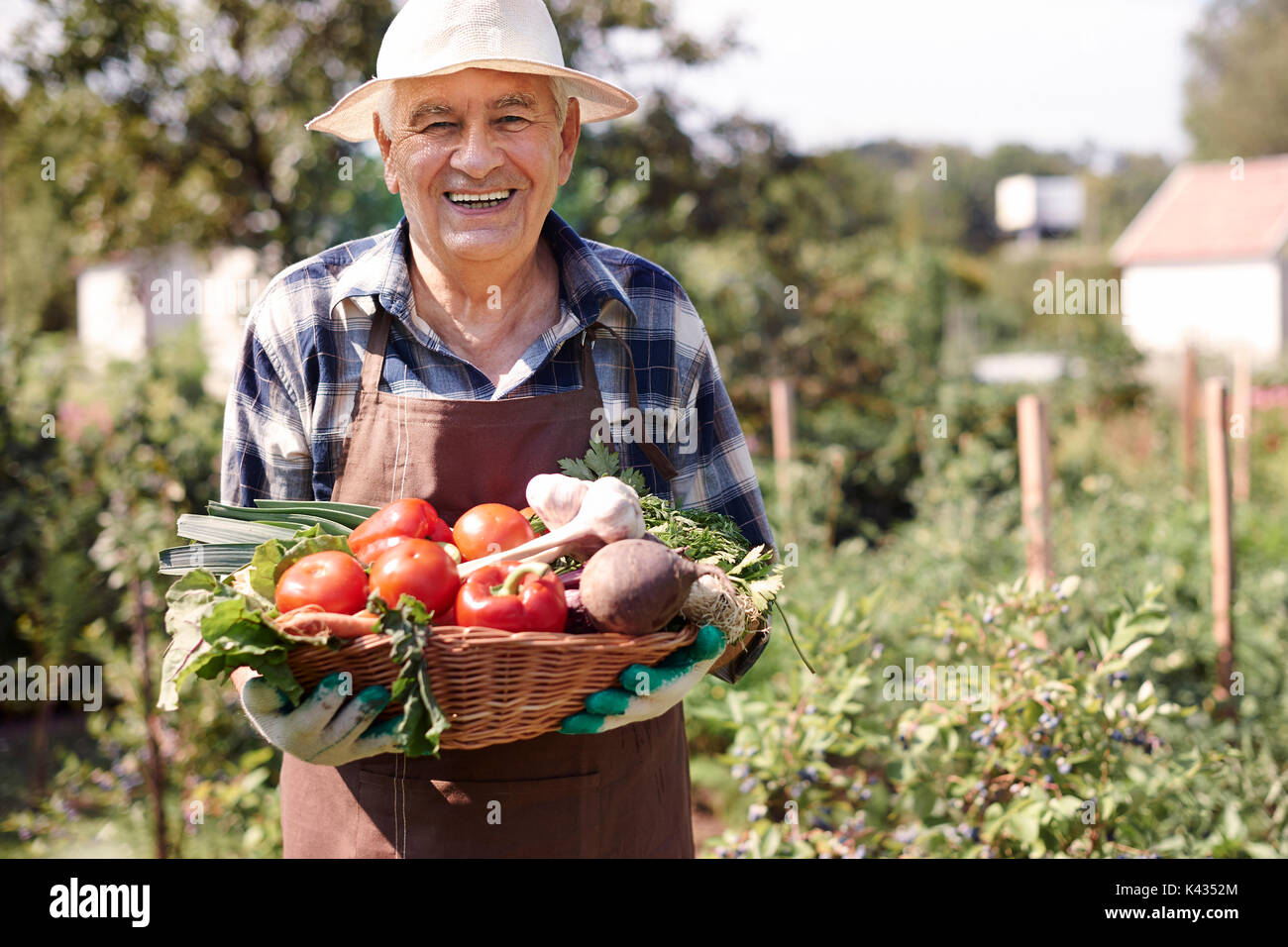 Now i can hi-res stock photography and images - Alamy