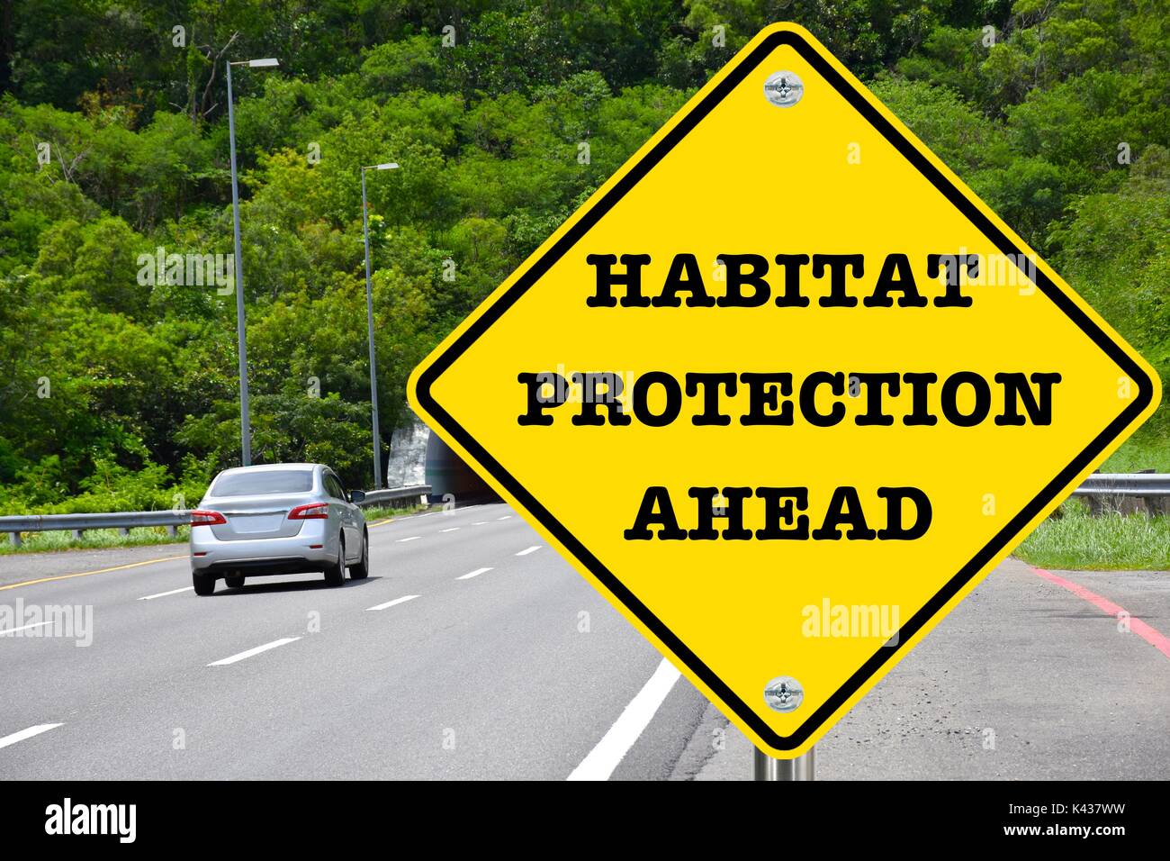 Tree protection law hi-res stock photography and images - Alamy