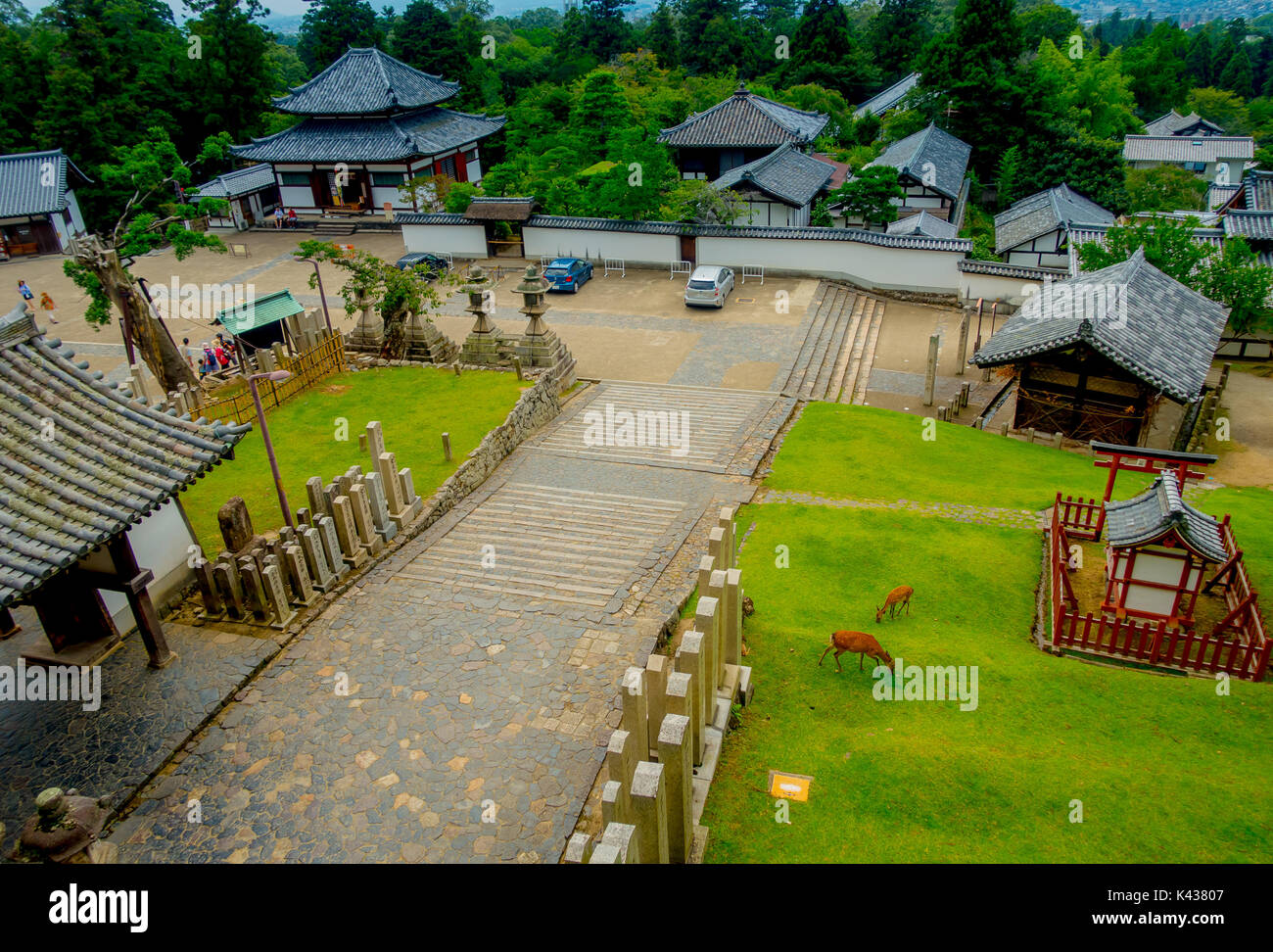 Nara ken hi-res stock photography and images - Alamy