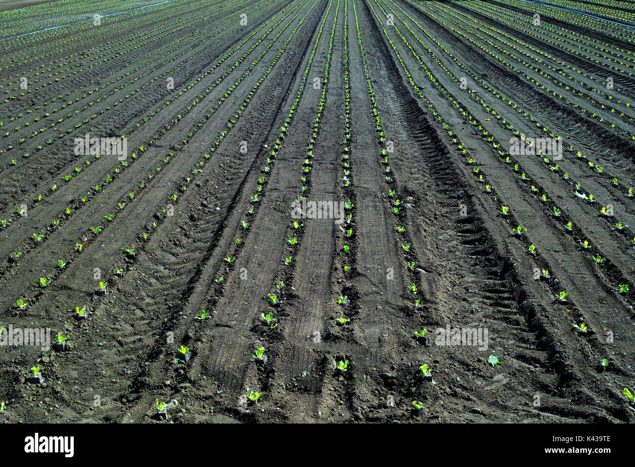 Non farm activities hi-res stock photography and images - Alamy