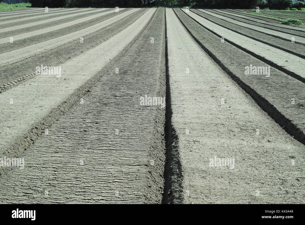 Non farm activities hi-res stock photography and images - Alamy