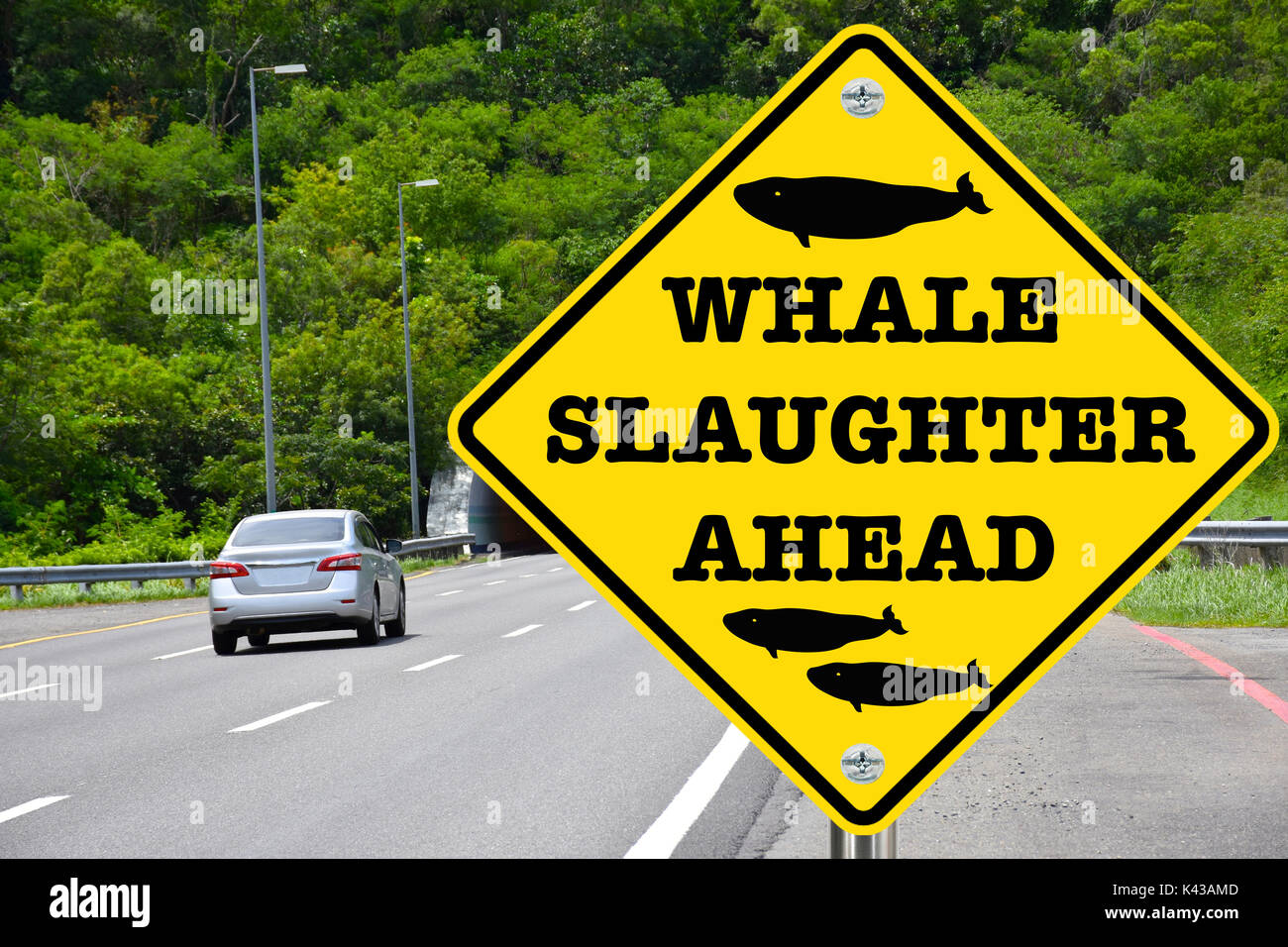 Save the whale sign hi-res stock photography and images - Alamy