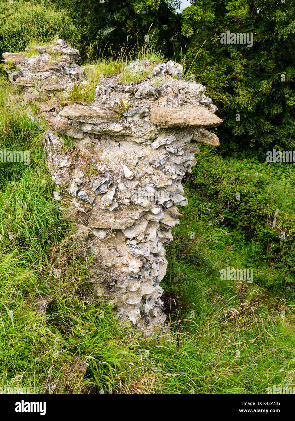 Silchester Roman City Walls and Amphitheatre, Hampshire, England, UK ...