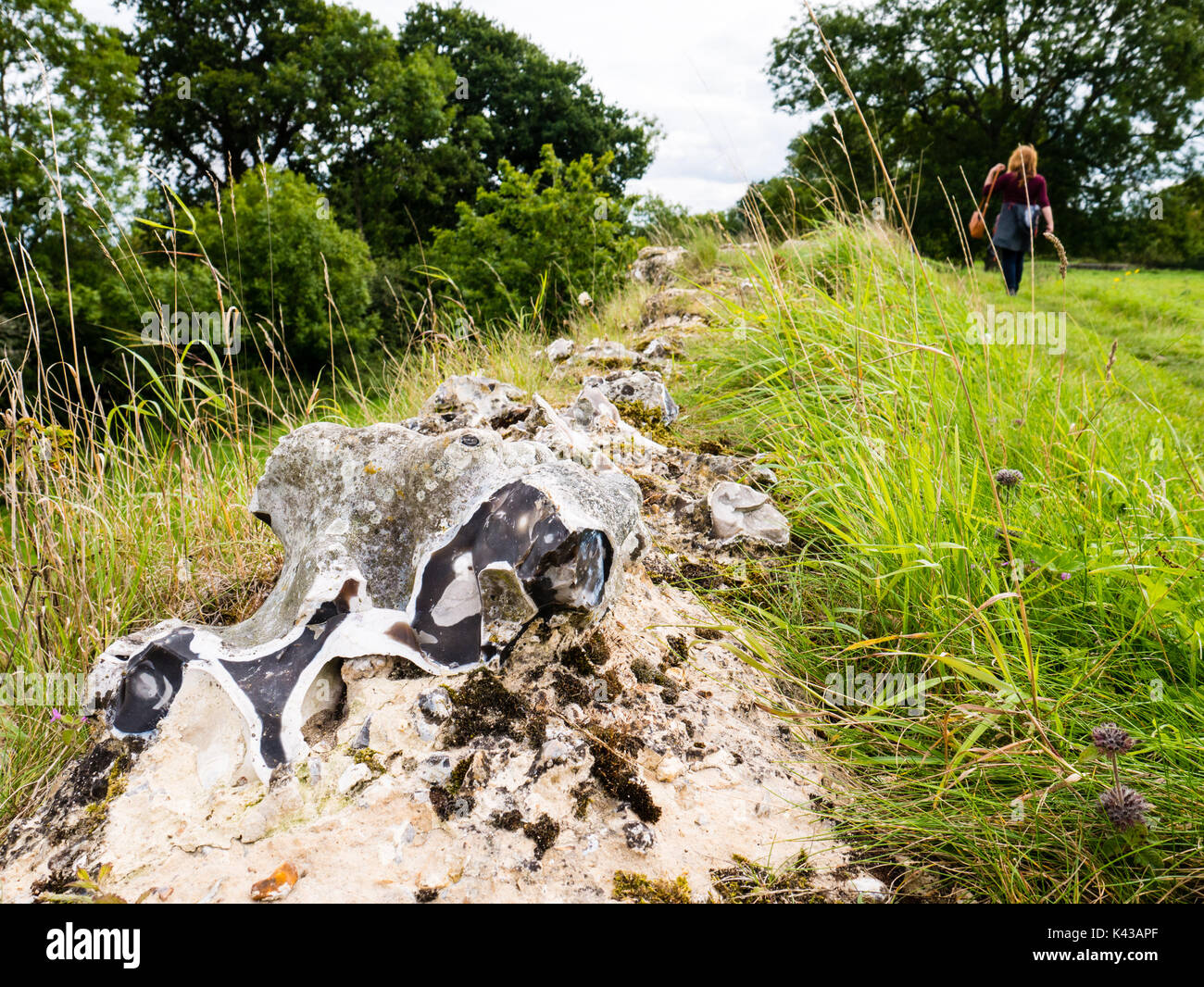 Silchester Roman City High Resolution Stock Photography and Images - Alamy