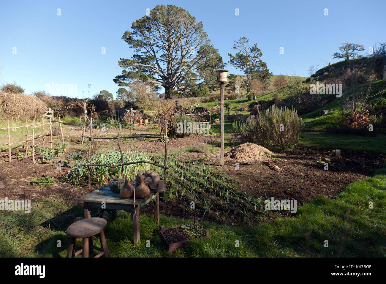 Wide view of part of the Hobbiton Movie Set, Matamata, Waikato, New ...