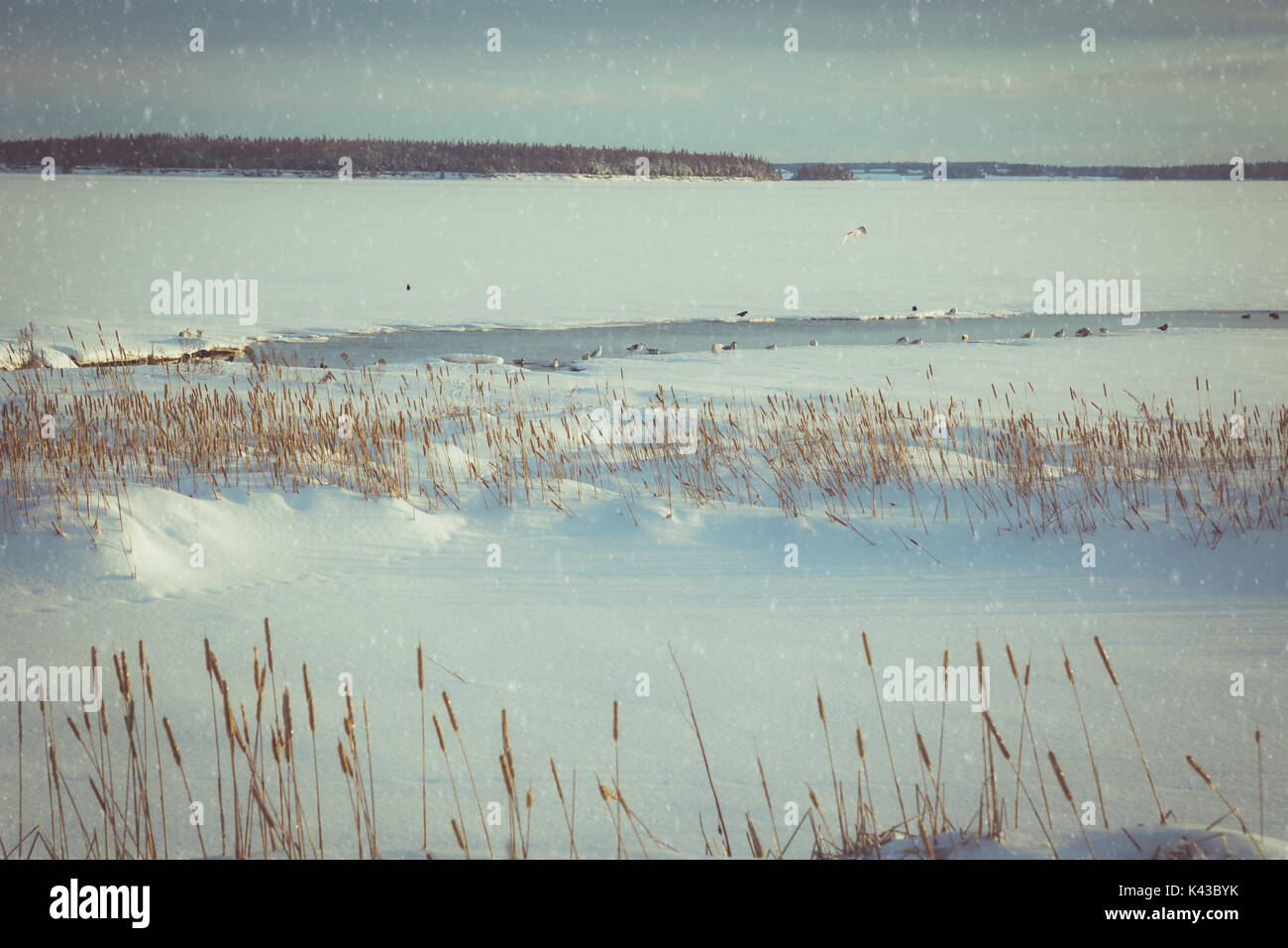 Snow falling over a frozen harbor landscape Stock Photo - Alamy