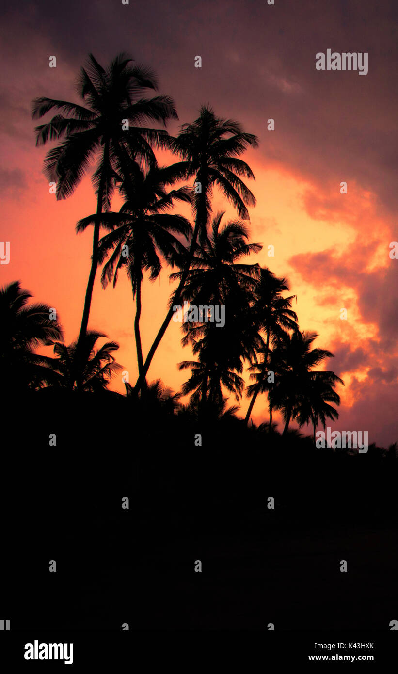 Ghana nature hi-res stock photography and images - Alamy