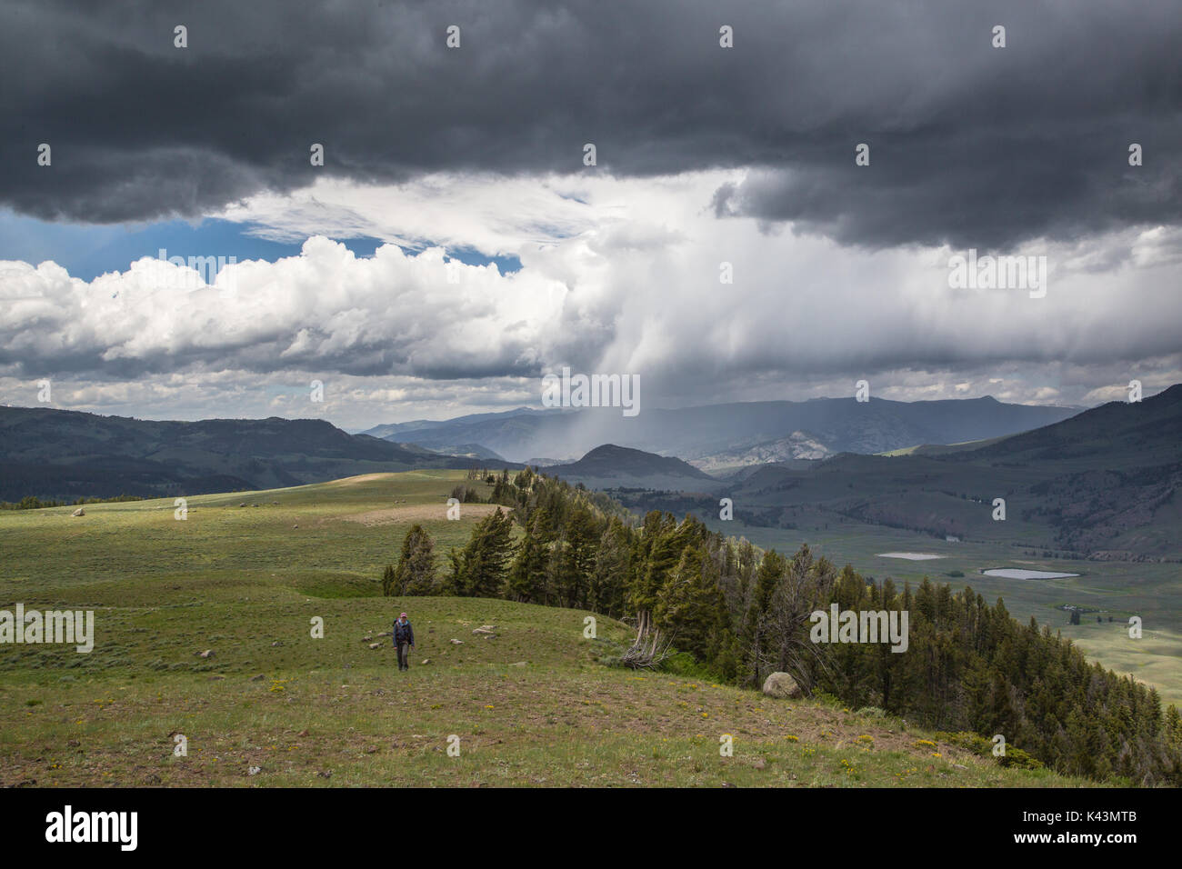 Specimen ridge yellowstone hi-res stock photography and images - Alamy