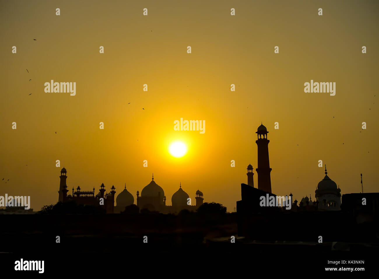 Mosques and birds hi-res stock photography and images - Alamy