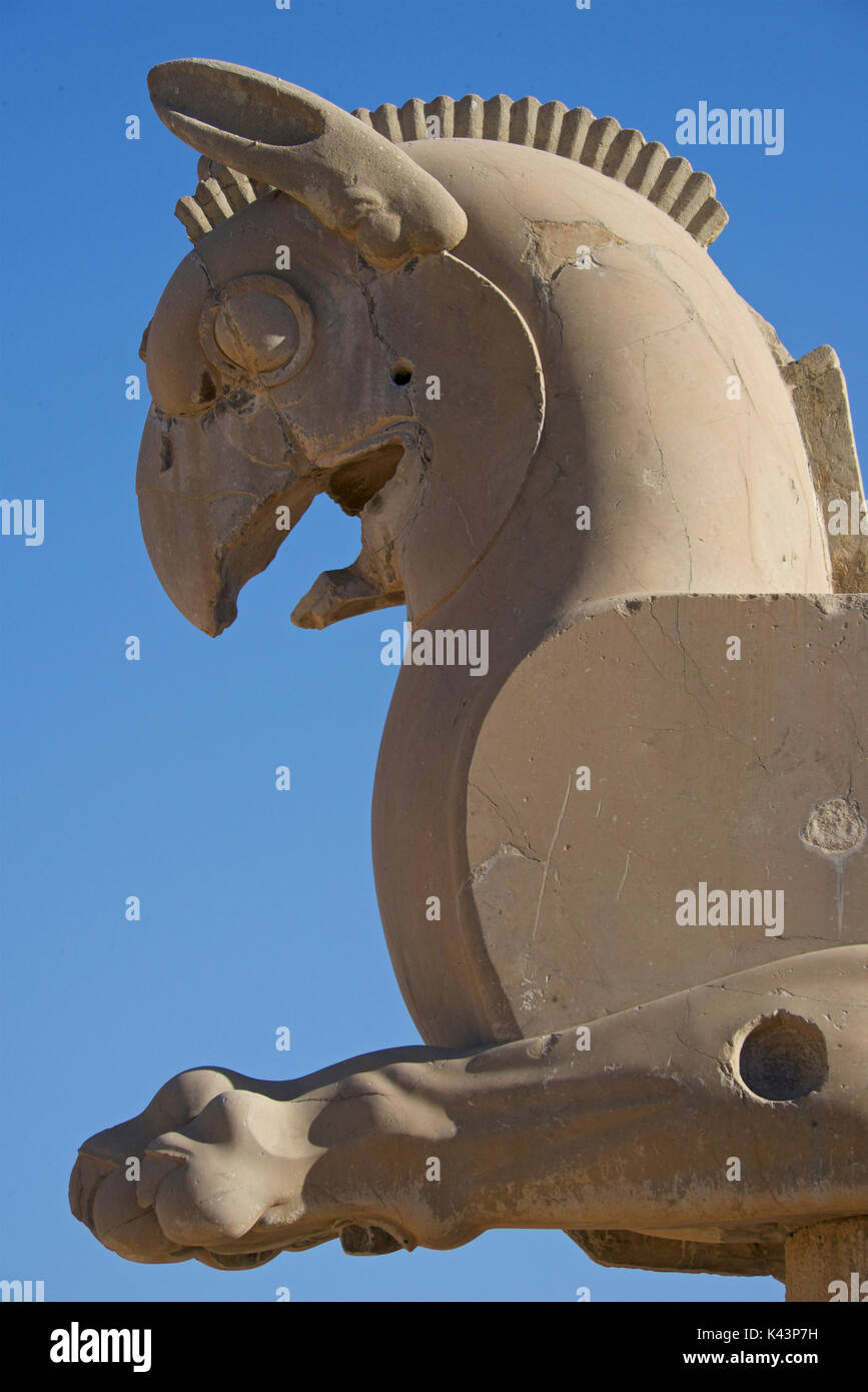 Detail of griffin. Homa bird. Achaemenid ruins of Persepolis, Iran ...