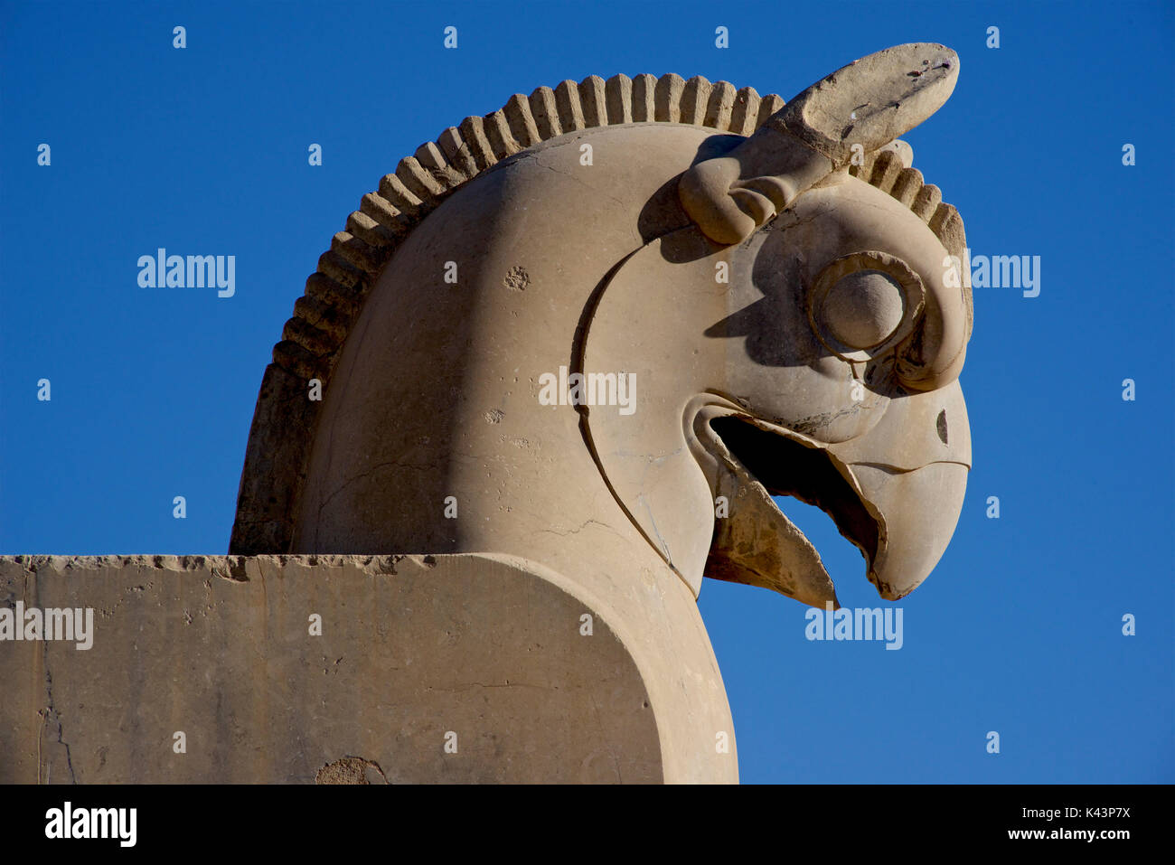 Detail of griffin. Homa bird. Achaemenid ruins of Persepolis, Iran ...