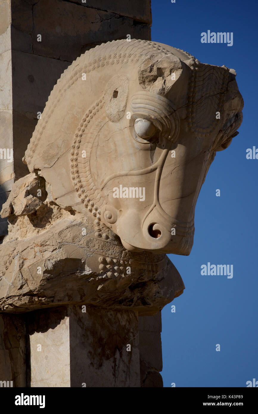Bull capital persepolis iran hi-res stock photography and images - Alamy