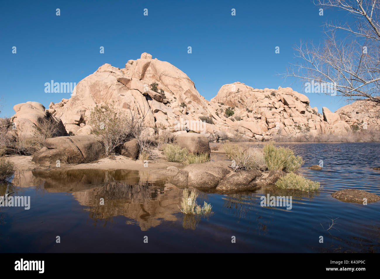 Water fills the Barker Dam after rainfall at the Joshua Tree National ...