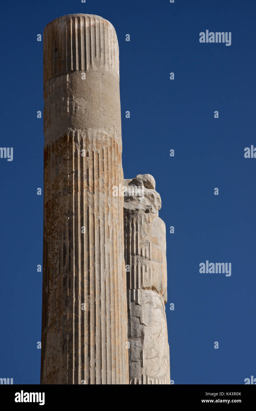 Carved Achaemenid columns at the archaeological site of Persepolis ...