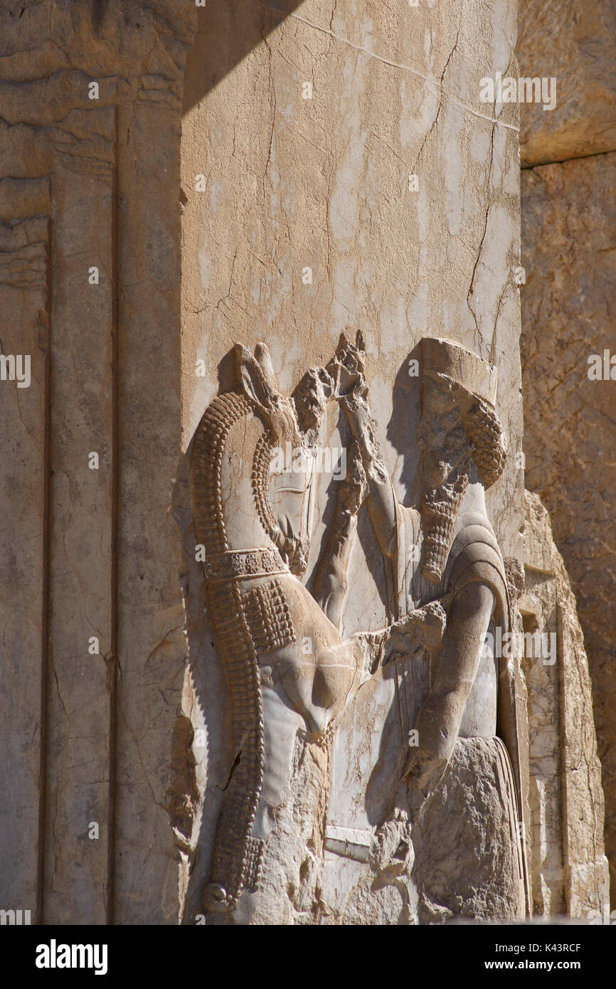 Bas relief, Persepolis, Iran. Darius the Great stabbing a lion in the ...