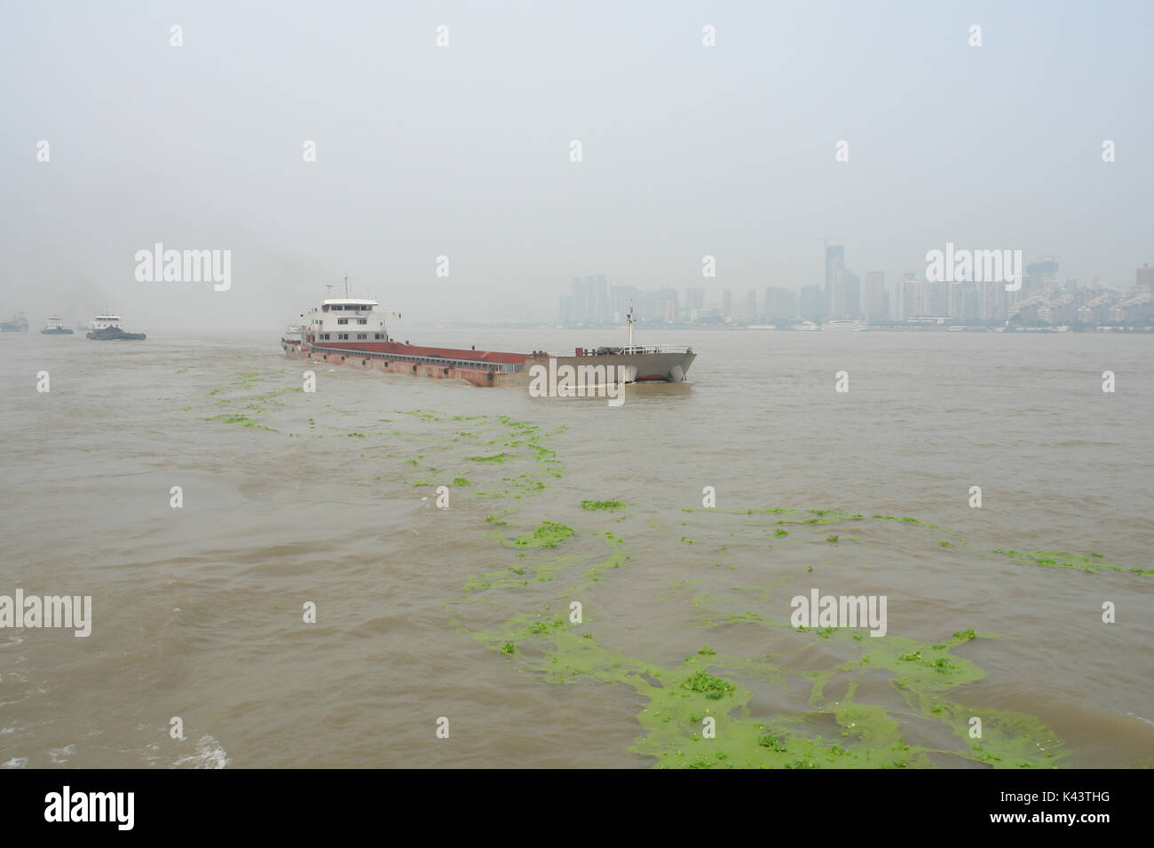 Yangtze River Pollution
