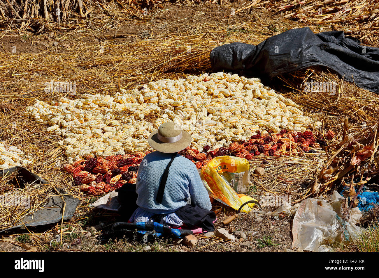 Woman drying grain hi-res stock photography and images - Alamy