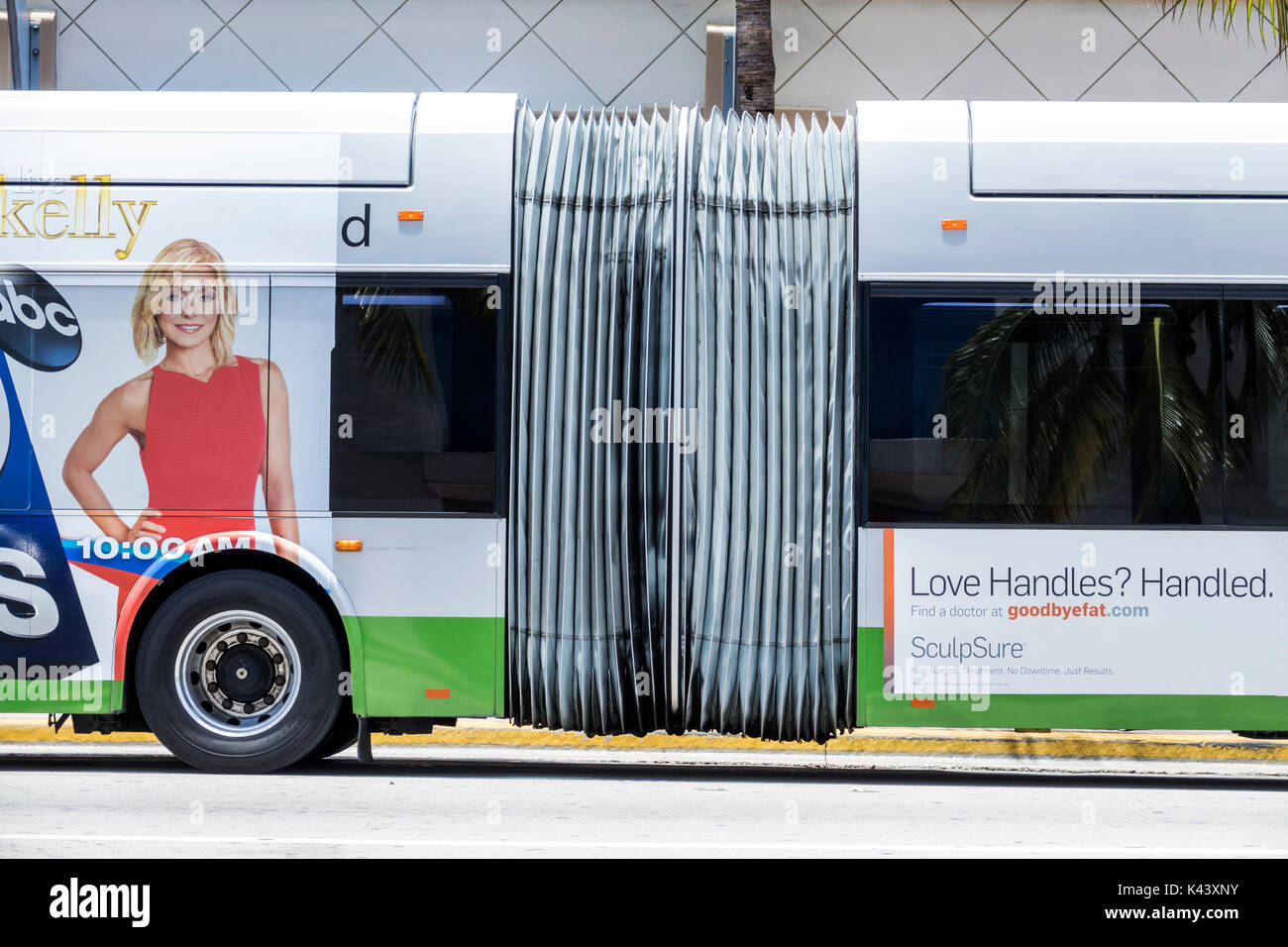 Miami Beach Florida,Miami-Dade Metrobus,public transportation,bus ...