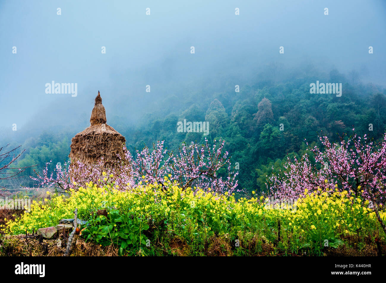 The colorful countryside scenery in the mist Stock Photo - Alamy