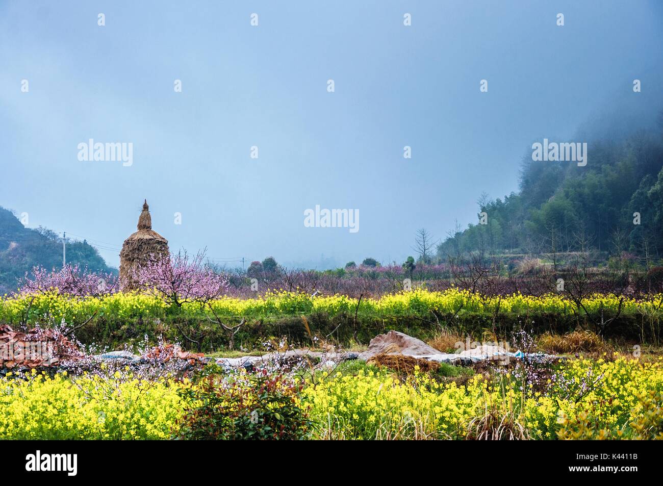 The colorful countryside scenery in the mist Stock Photo - Alamy