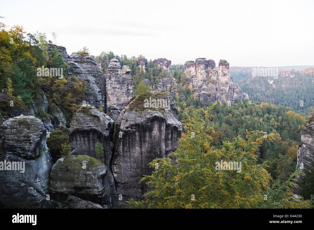 Narrow high rock mountains in the middle of a green boundless forest in ...