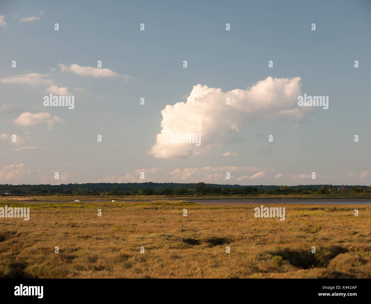 countryside scene of flat ground and a stream, with a big white cloud ...