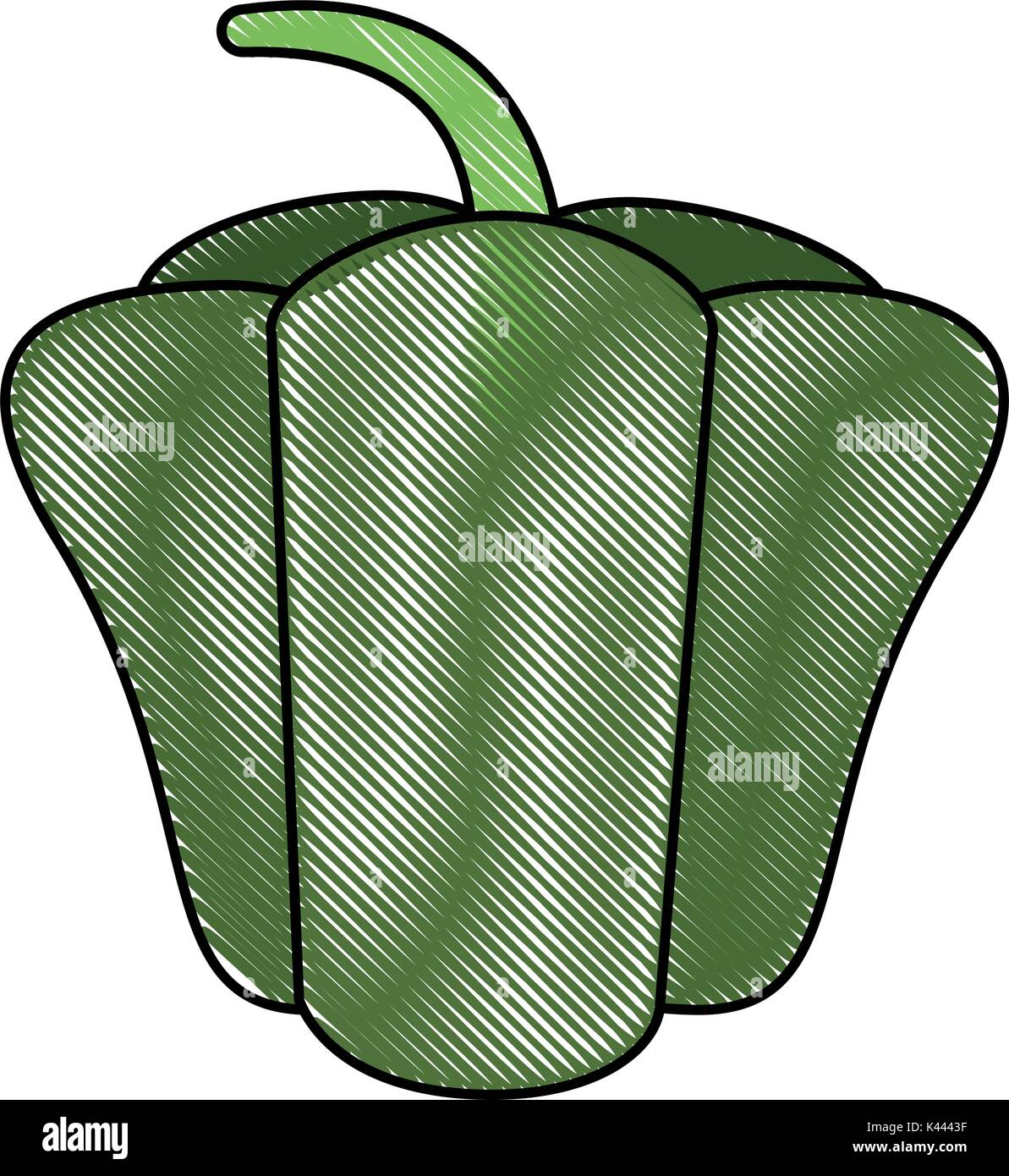 Draw pepper vegetable nutrition vitamin Stock Vector Images - Alamy