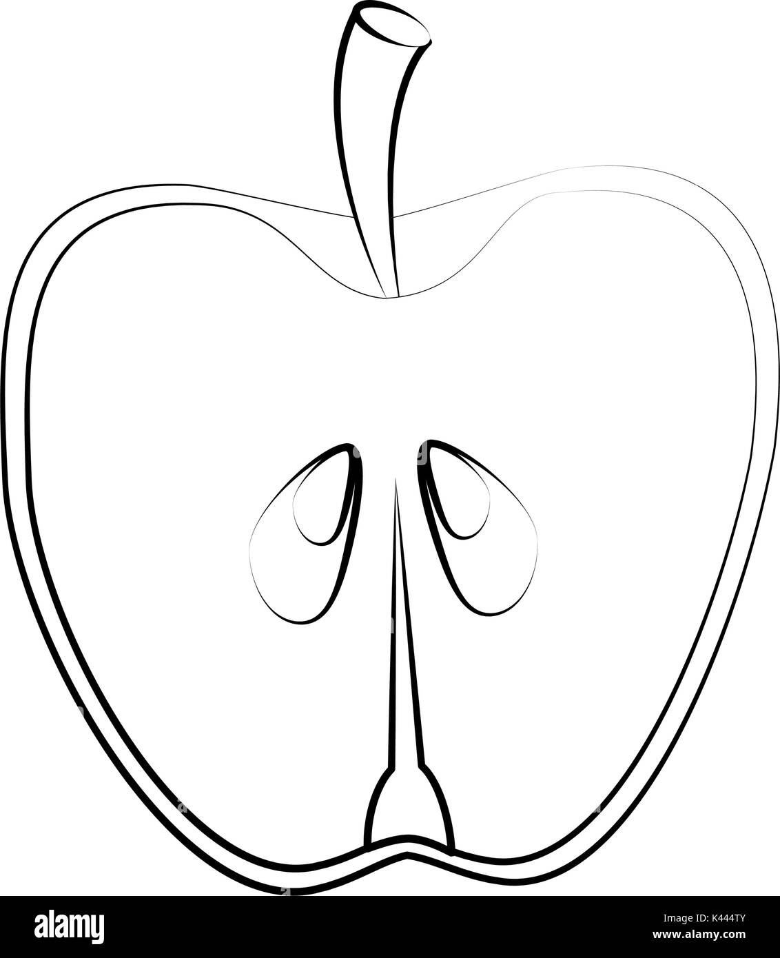 Apples vector illustration icon Black and White Stock Photos & Images ...