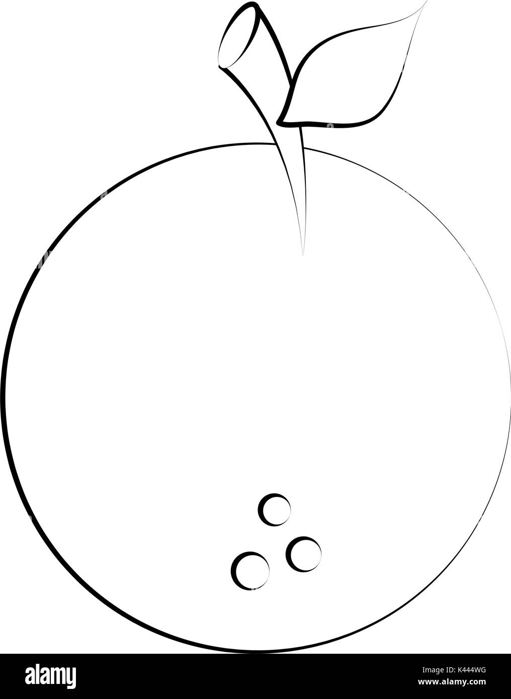 Orange sweet fruit Stock Vector Image & Art - Alamy