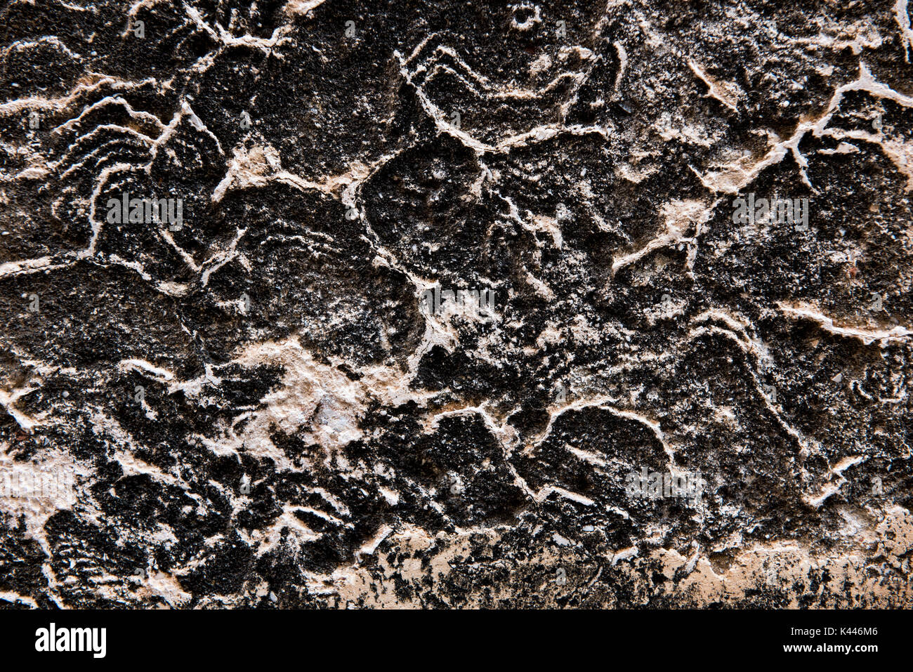 Limestone wall texture hi-res stock photography and images - Alamy