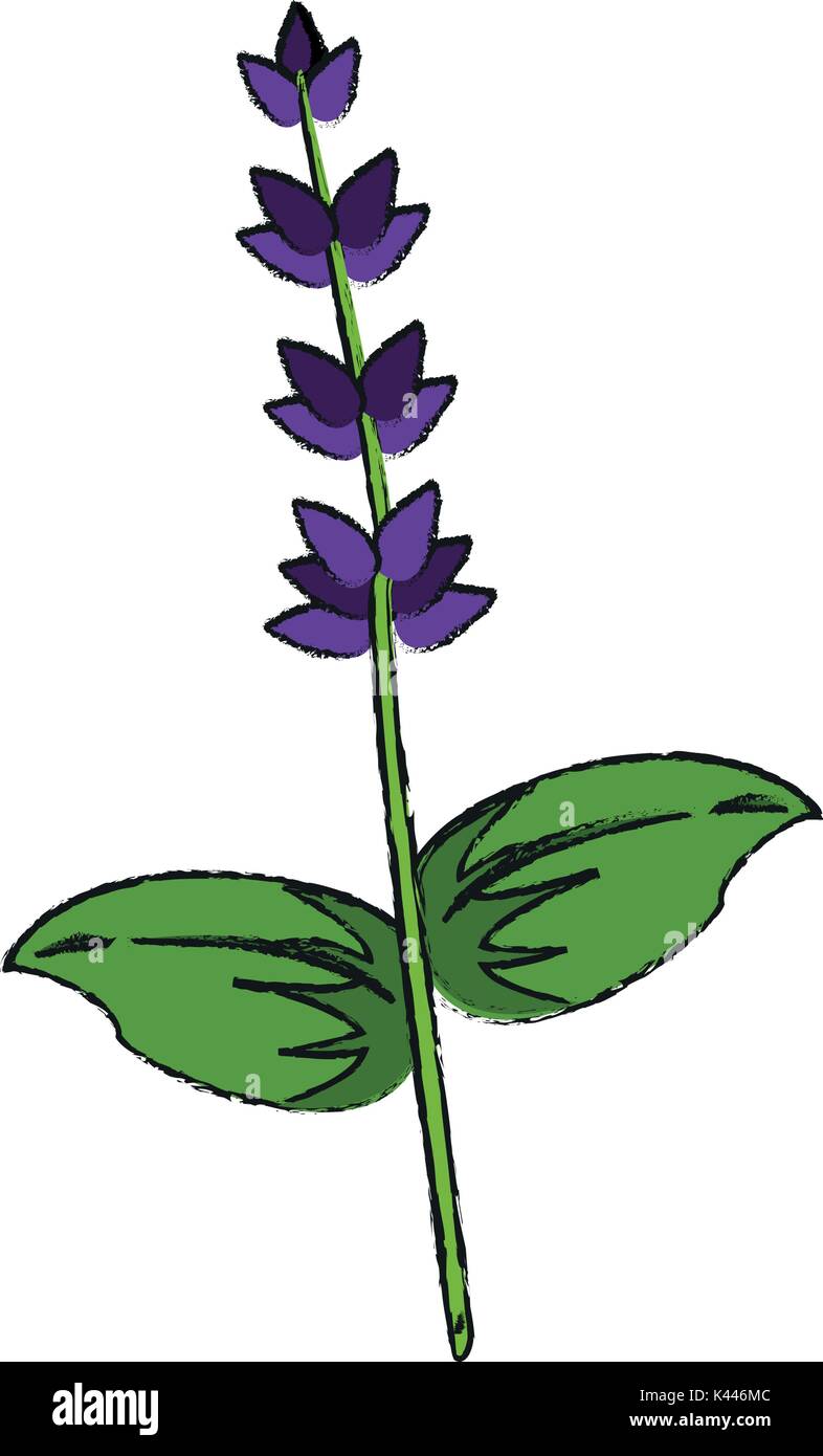 beautiful flower symbol Stock Vector Image & Art - Alamy