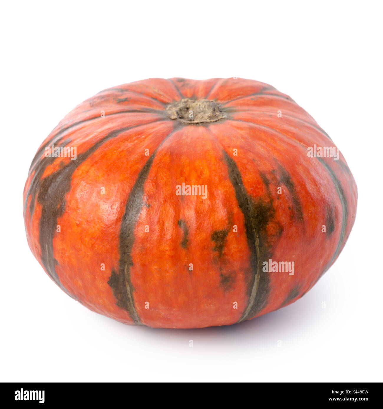 beautiful red pumpkin isolated on white background Stock Photo - Alamy