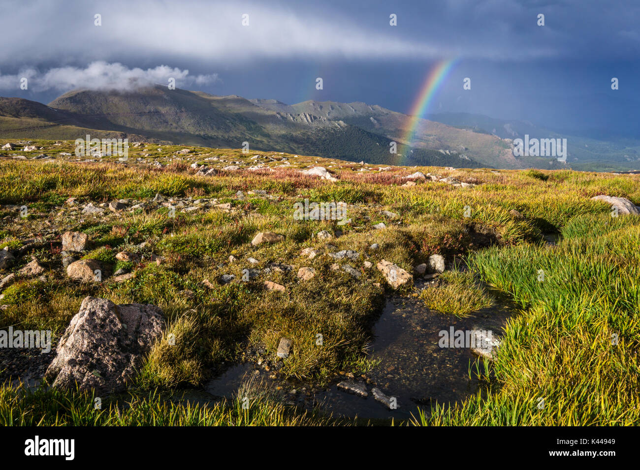 Mount Evans Drive High Resolution Stock Photography and Images - Alamy