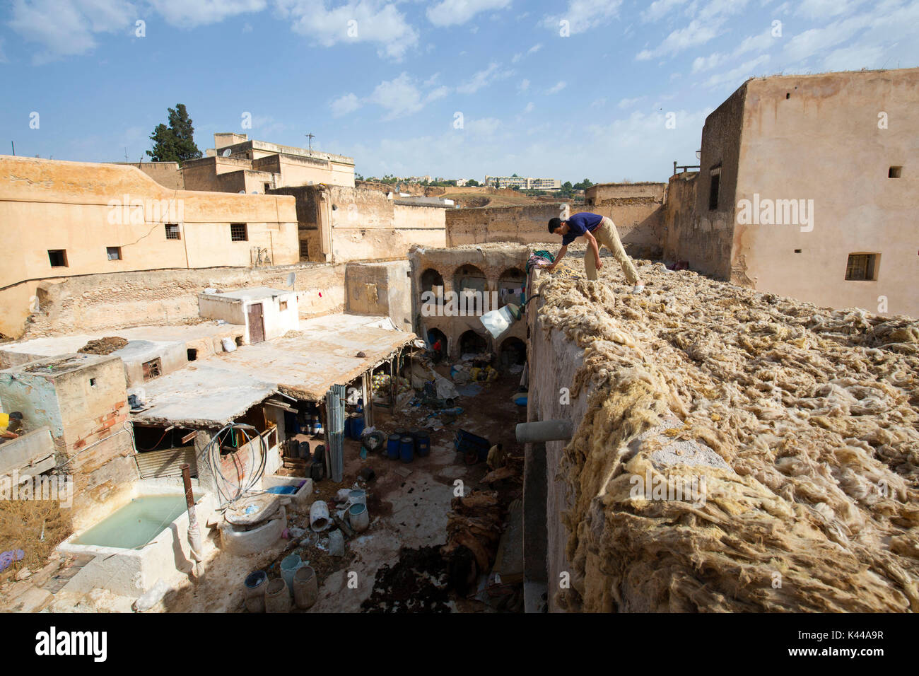 North Africa,Morocco,Fes district,Fez Tannery,Chouara Tannery. Leather ...