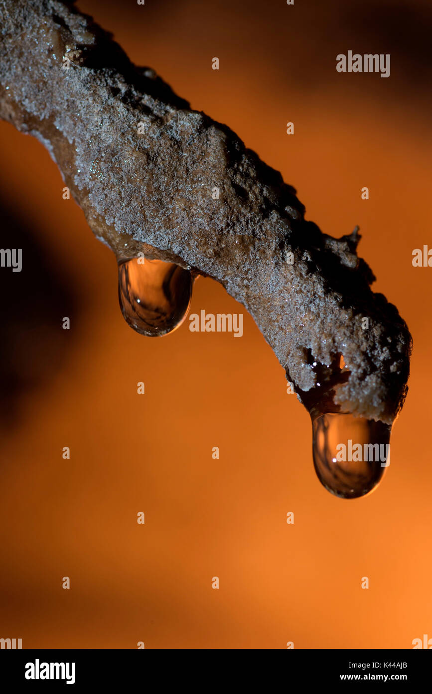 Water drops on a limestone concrection in a cave Stock Photo - Alamy