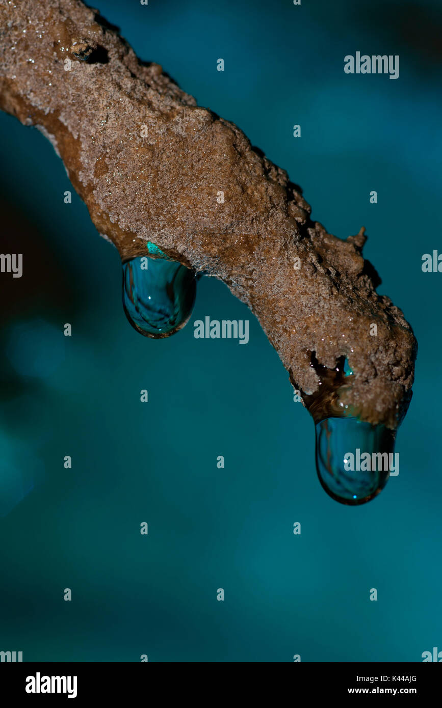 Water drops on a limestone concrection in a cave Stock Photo - Alamy